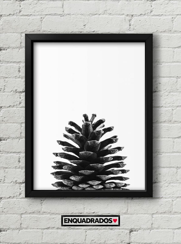 Quadro Pinha - Quadro decorativo - Loja Enquadrados
